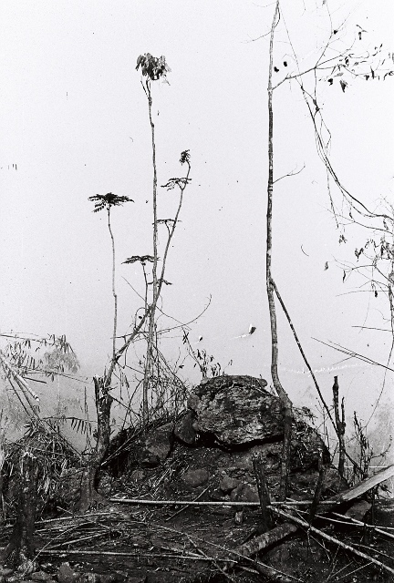 Milford Zornes Along the Ledo Road - CBI Theater of World War II